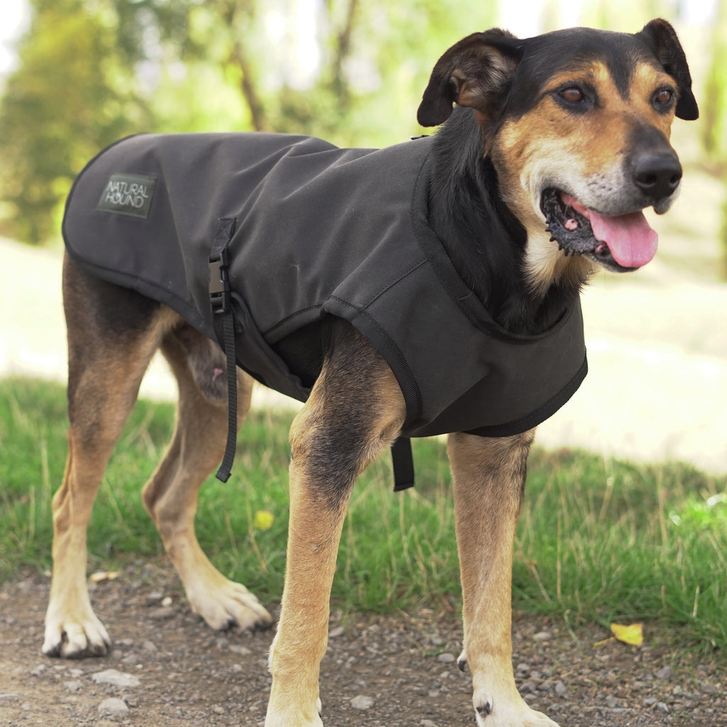 Venture Dog Coat